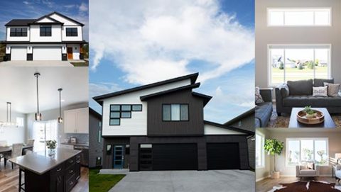 Quality Doors And Windows | Vector Windows