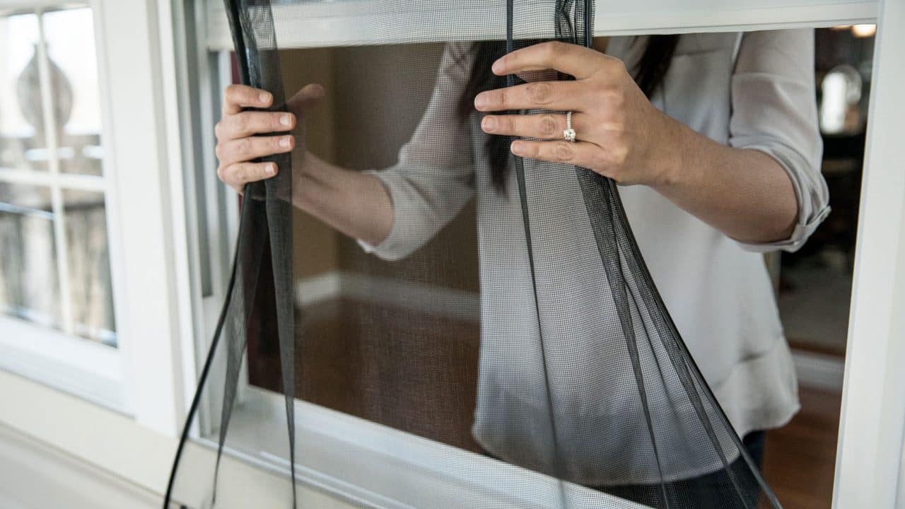 Window Screen Options | Vector Windows