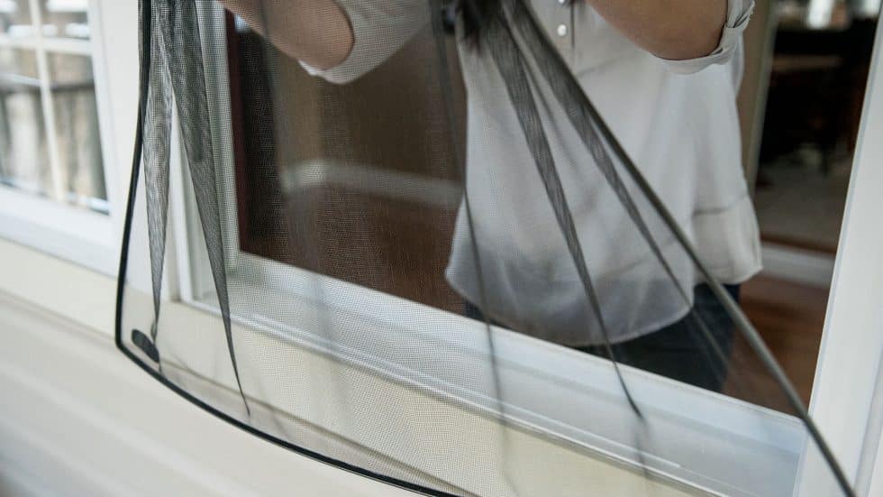 Window Screen Options | Vector Windows